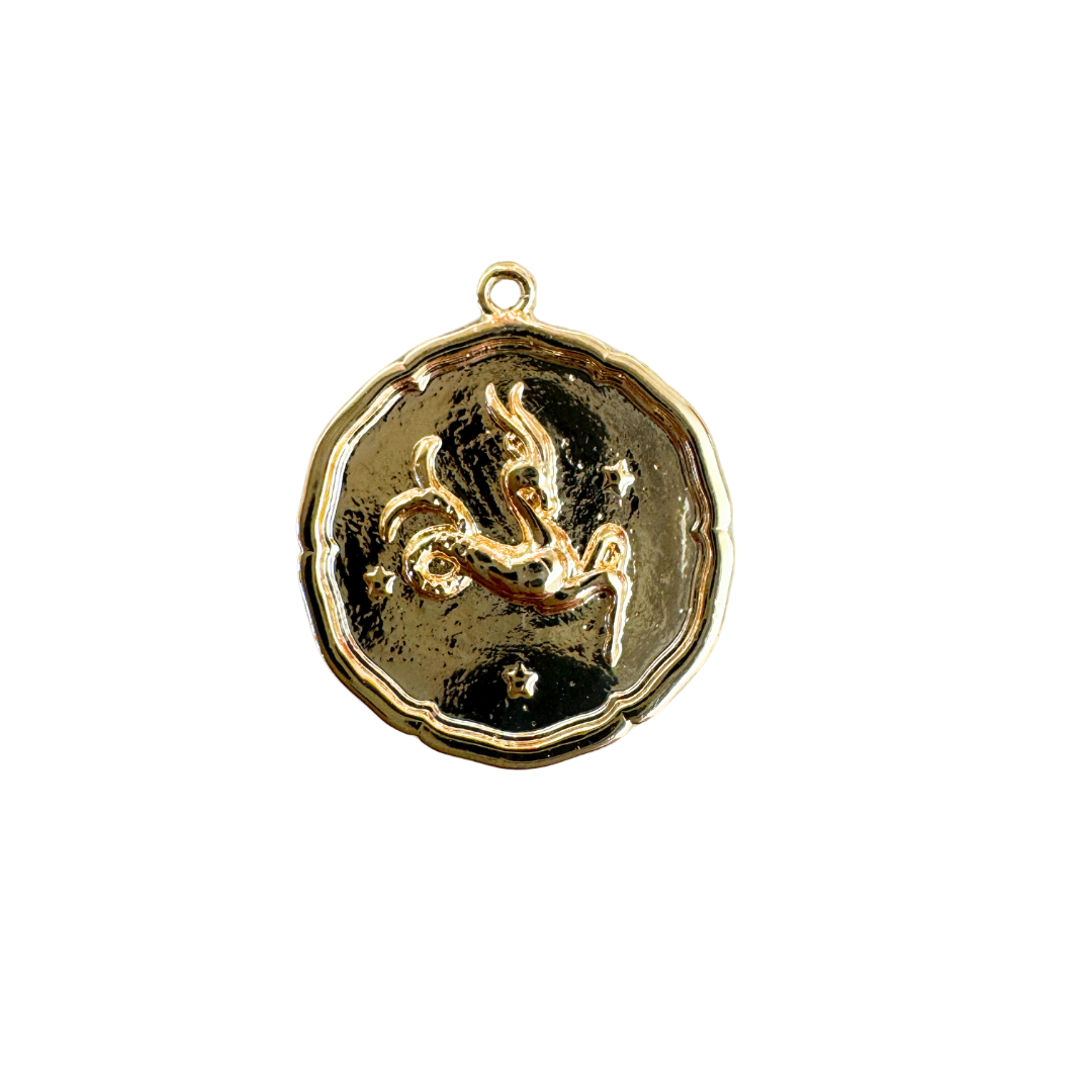 Zodiac Coin Charm Collection – Tenfold Collective
